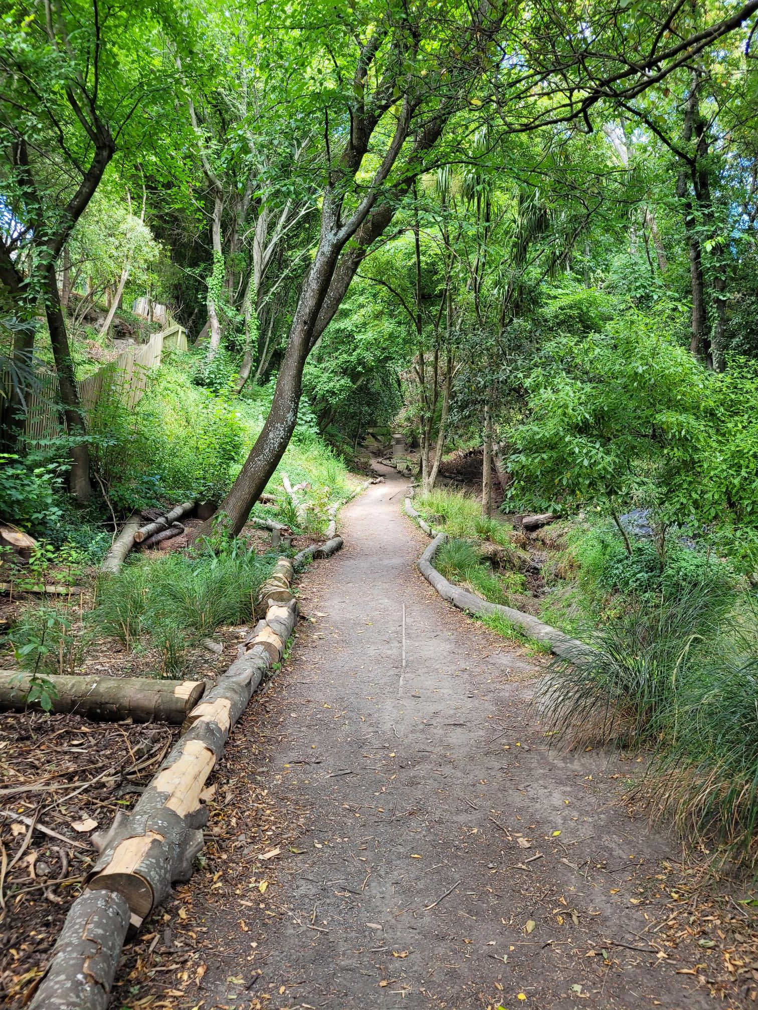Purau Reserve - what we heard | Draft Purau Reserve Landscape ...