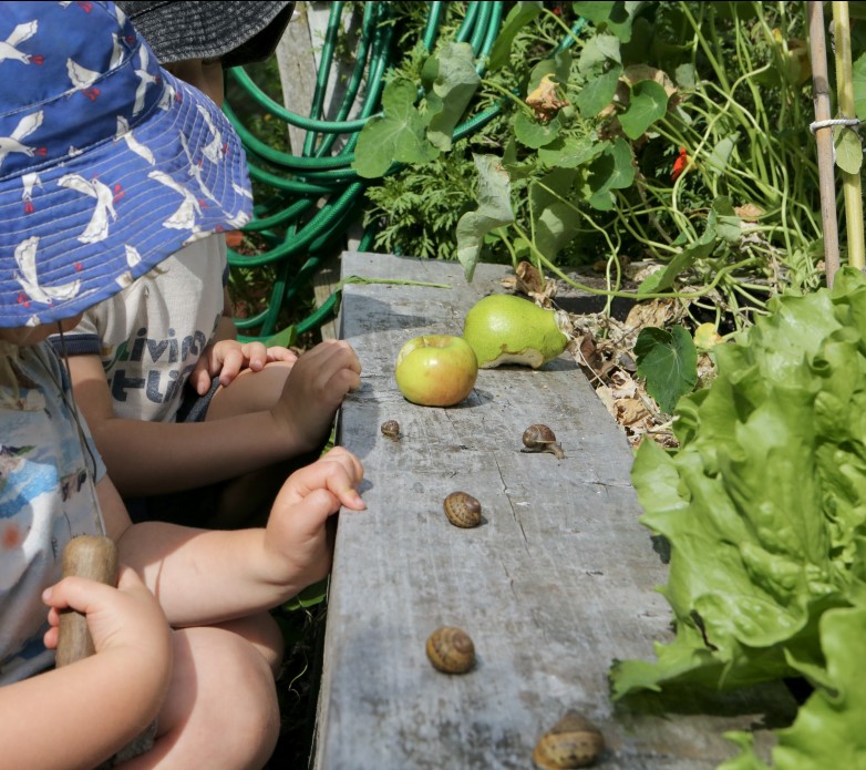 Gardening Together - Lyttelton | Te Pātaka o Rākaihautū Banks Peninsula ...