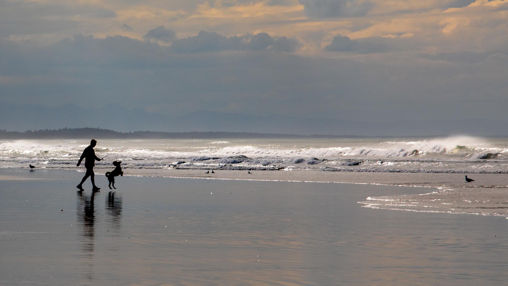 Waitai Coastal-Burwood-Linwood Community Board | Kōrero mai | Let’s talk